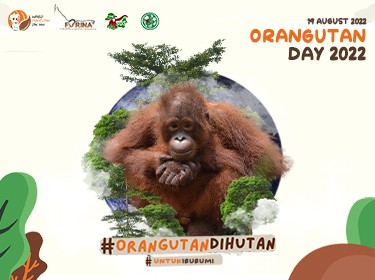 Hari Orangutan