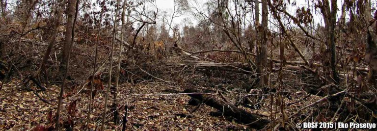 THE POWERS OF PANTUNG