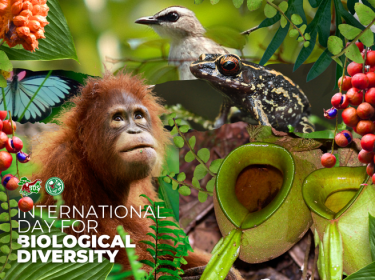 HARMONY WITH NATURE & SUSTAINABLE DEVELOPMENT